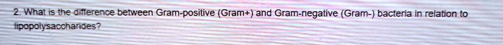 2. What is the difference between Gram-positive (Gram+) and Gram ...