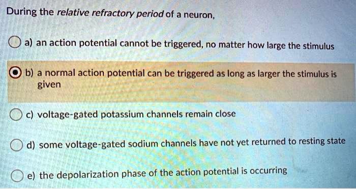 SOLVED: During the relative refractory period of a neuron: a) an action ...