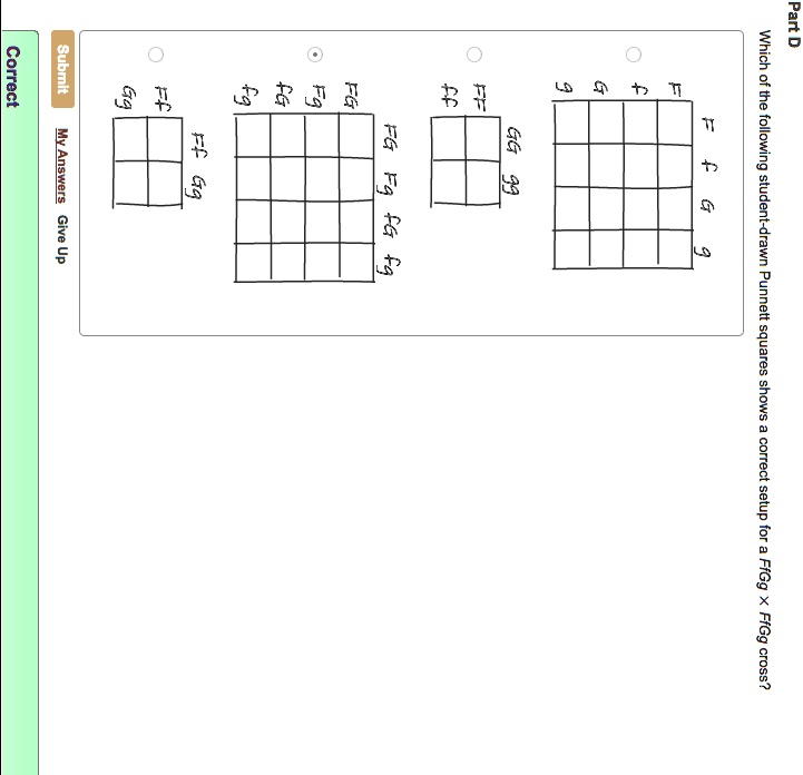 Part D Which of the following student-drawn Punnett squares shows a ...
