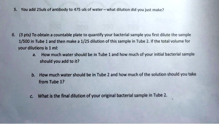 you add 2suls of antibody to 475 uls of water what dilution did you just make 3 pts to obtain ...