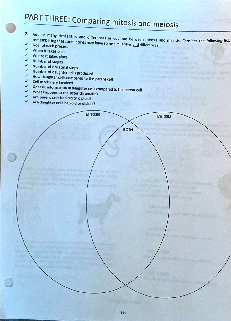 part three comparing mitosis and meiosis 7 add as many similarities and ...