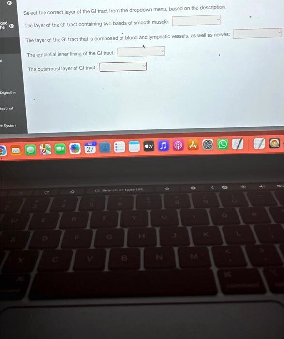 text nursing select the correct layer of the gi tract from the dropdown ...