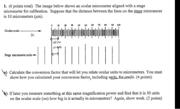 SOLVED: The image below shows an ocular micrometer aligned with a stage ...