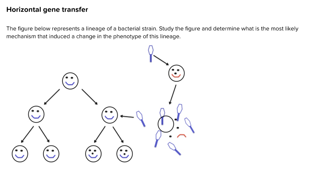 Horizontal gene transfer The figure below represents a lineage of a ...