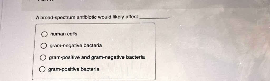 a broad spectrum antibiotic would likely affect human cells gram ...