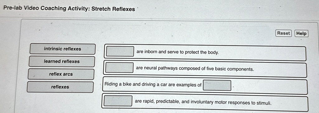 Pre-lab Video Coaching Activity: Stretch Reflexes intrinsic reflexes ...