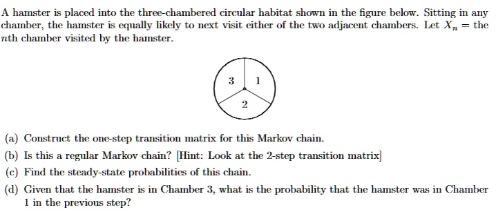 SOLVED: A hamster is placed into the three-chambered circular habitat ...