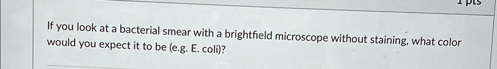 If you look at a bacterial smear with a brightfield microscope without ...