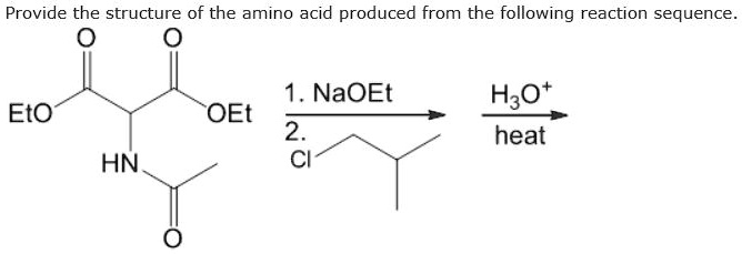 provide the structure of the amino acid produced from the following ...
