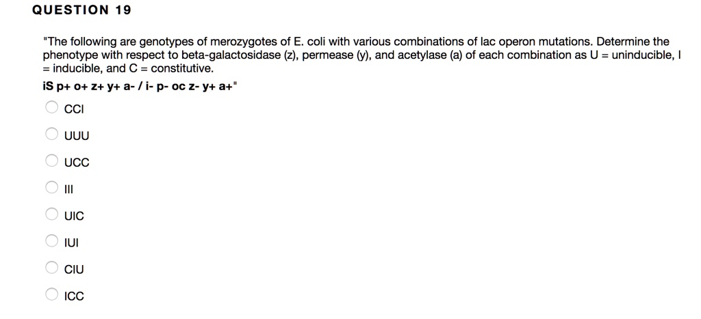 QUESTION 19 "The following are genotypes of merozygotes of...