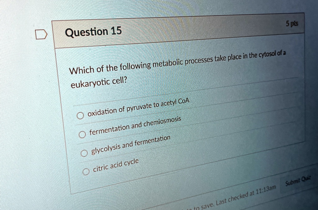 Question 15 Which of the following metabolic processes take place in ...