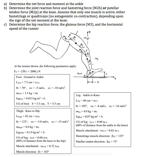SOLVED: Determine the following moments and reaction forces acting on ...