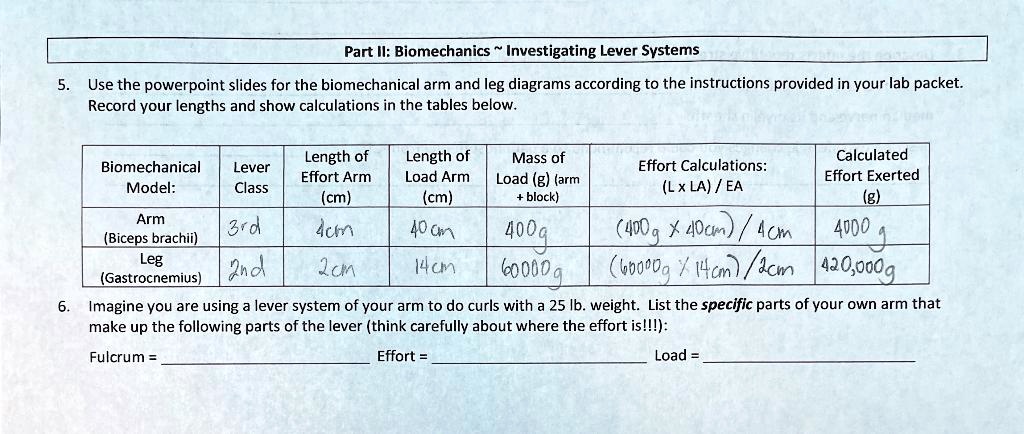 SOLVED: Part II: Biomechanics - Investigating Lever Systems 5. Use the ...