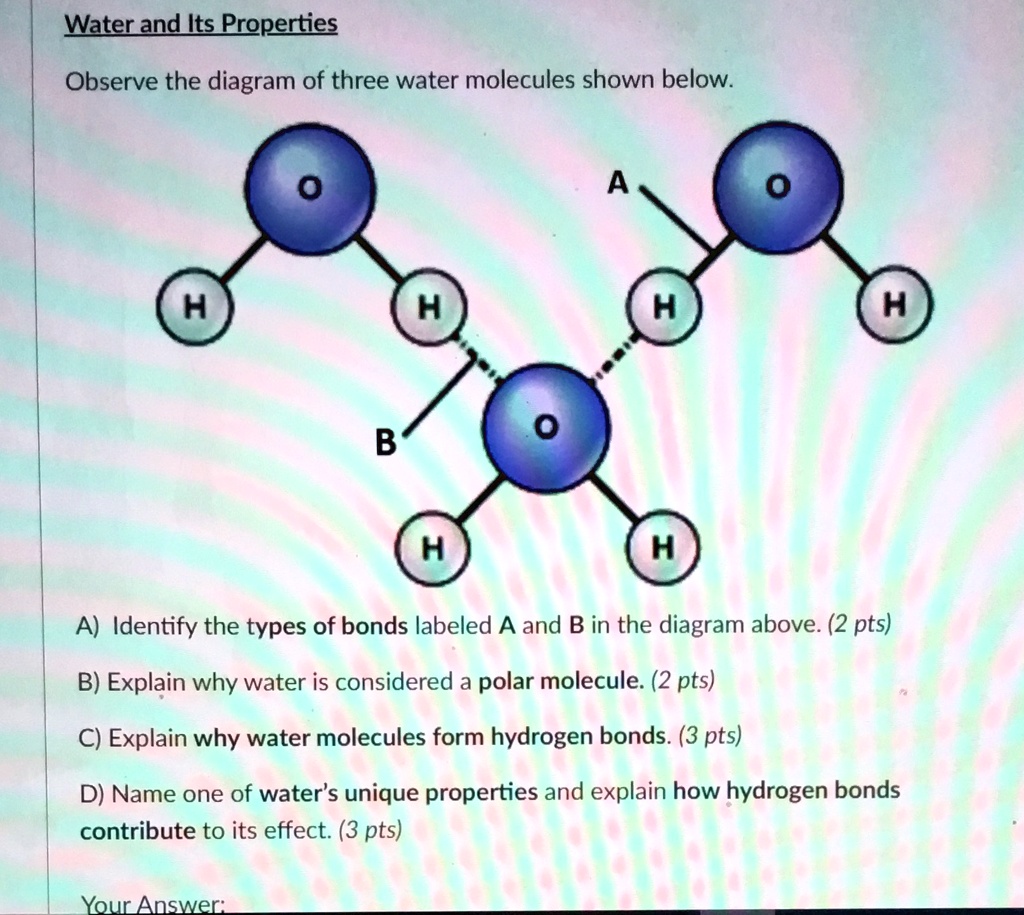 SOLVED Water And Its Properties Observe The Diagram Of Three Water SOLVED Water And Its Properties Observe The Diagram Of Three Water