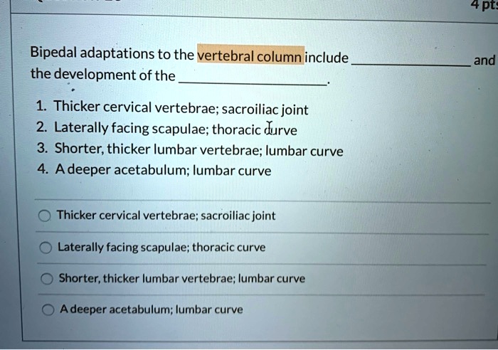 SOLVED: 4pts Bipedal adaptations to the vertebral column include the ...