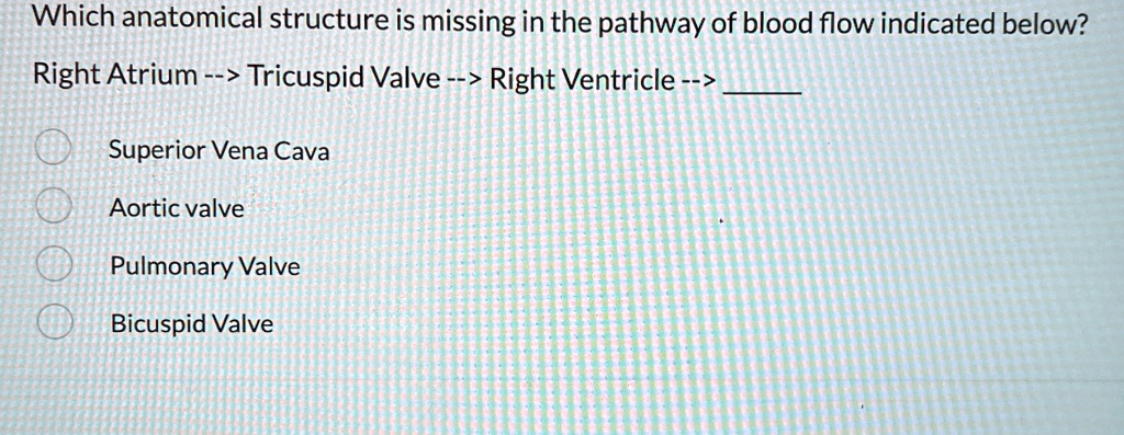 which anatomical structure is missing in the pathway of blood flow ...