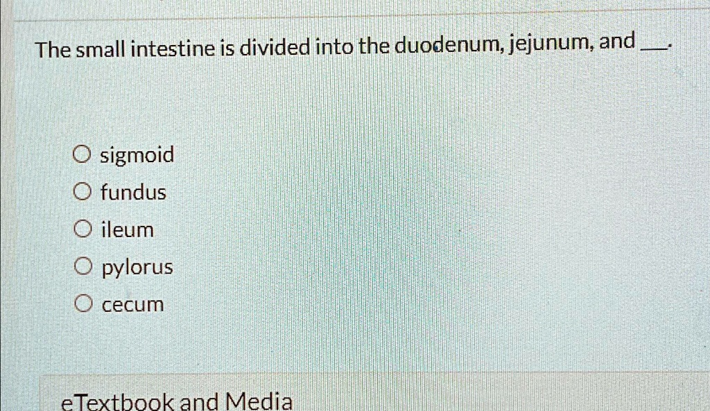 SOLVED: The small intestine is divided into the duodenum, jejunum, and ...