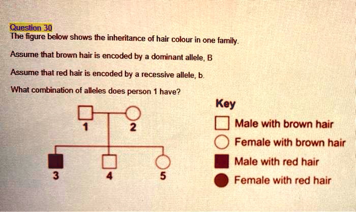 Question 30 The figure below shows the inheritance of hair colour in ...