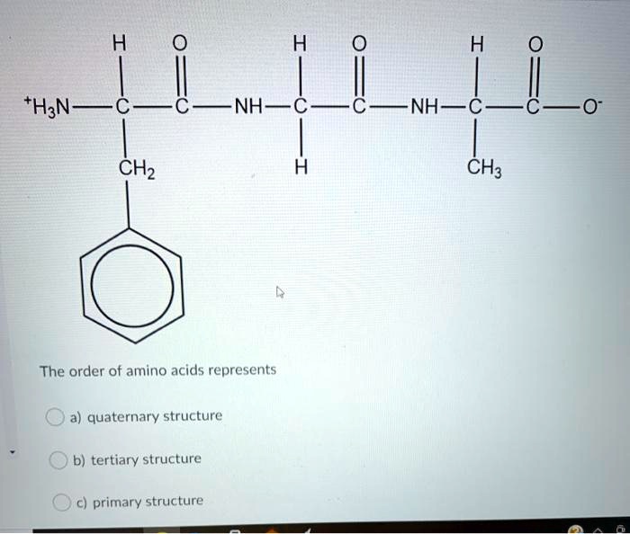 SOLVED: tHyN NH- NH CHz CH3 The order of amino acids represents a ...