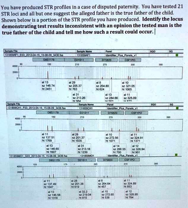 you have produced str profiles in a case of disputed paternity you have ...