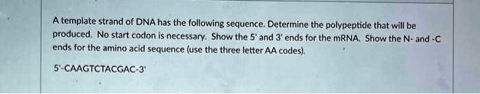 SOLVED: A template strand of DNA has the following sequence. Determine the polypeptide that will ...