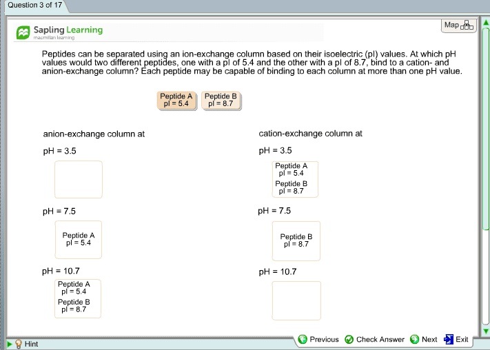 SOLVED: ' Question 3 of 17 Sapling Learning macmillan learning Map Peptides can be separated ...