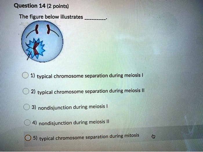 Question 14 2 points the figure below illustrates 1 typical...