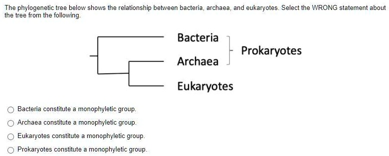 SOLVED: The phylogenetic tree below shows the relationship between ...