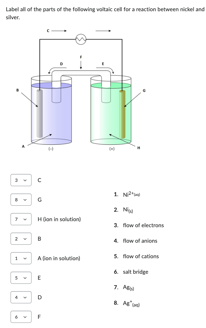 SOLVED: Label all of the parts of the following voltaic cell for a reaction between nickel and ...