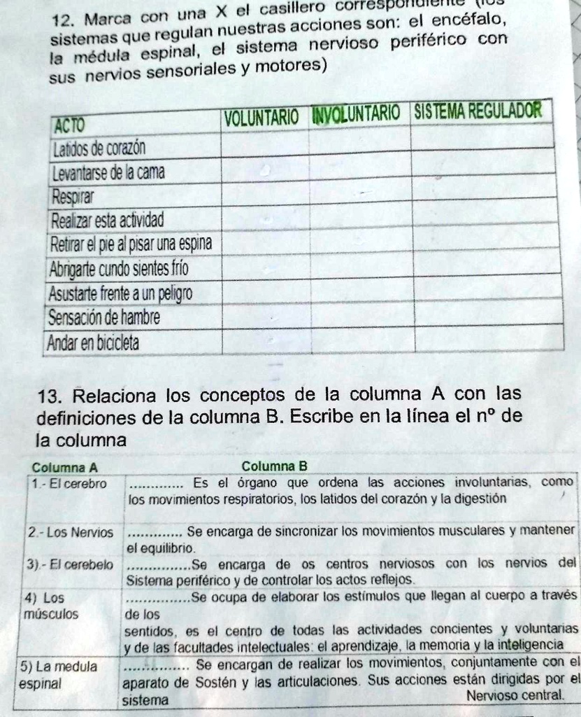 SOLVED: Aaaaaiiiiiiiuuuuuuaaaaaa!!!!¡!¡!!! una X el casillero ...