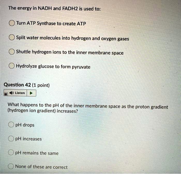 SOLVED: The energy in NADH and FADH2 is used to: Turn ATP Synthase to ...