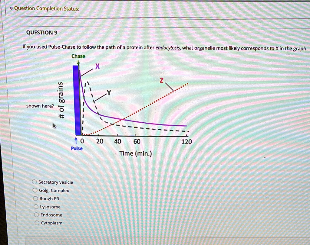 SOLVED: Question Completion Status: QUESTION 9 If you used Pulse-Chase ...