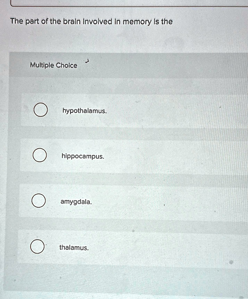 The part of the brain involved in memory is the Multiple Choice ...