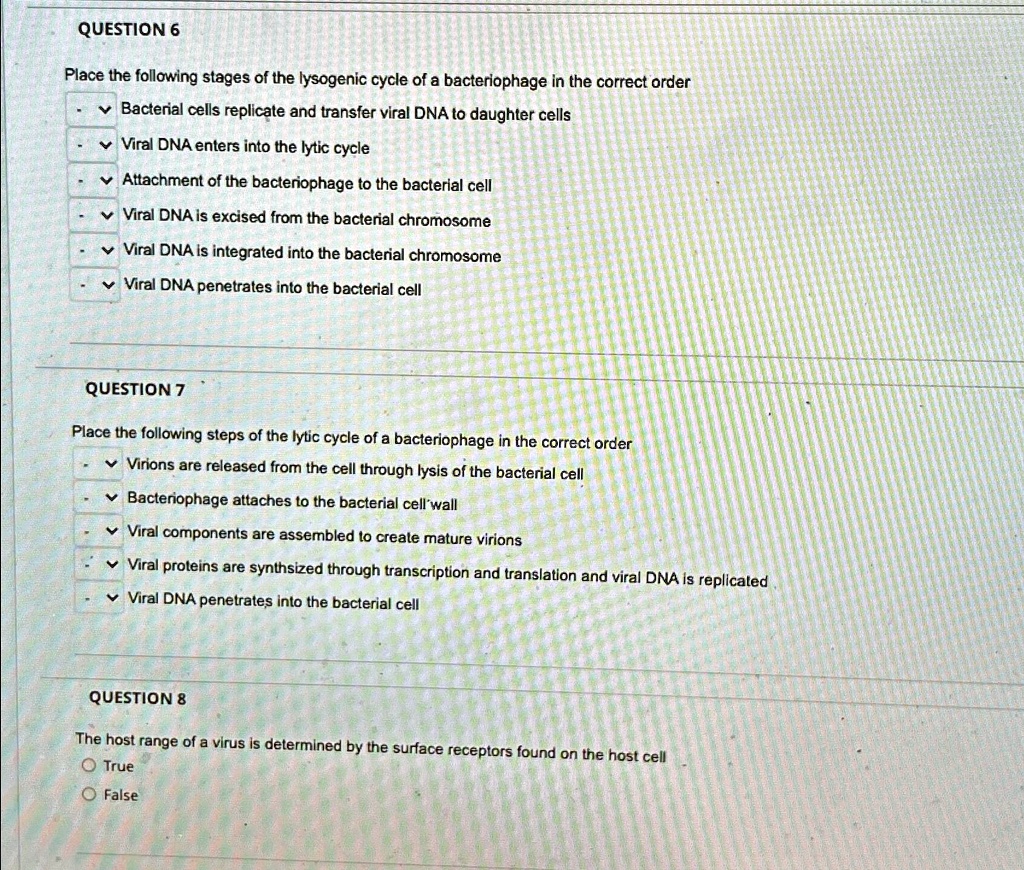 SOLVED: QUESTION 6 Place the following stages of the lysogenic cycle of a bacteriophage in the ...
