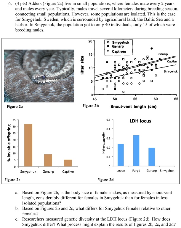 SOLVED: (4 pts) Adders (Figure 2a) live in smnall populations where ...