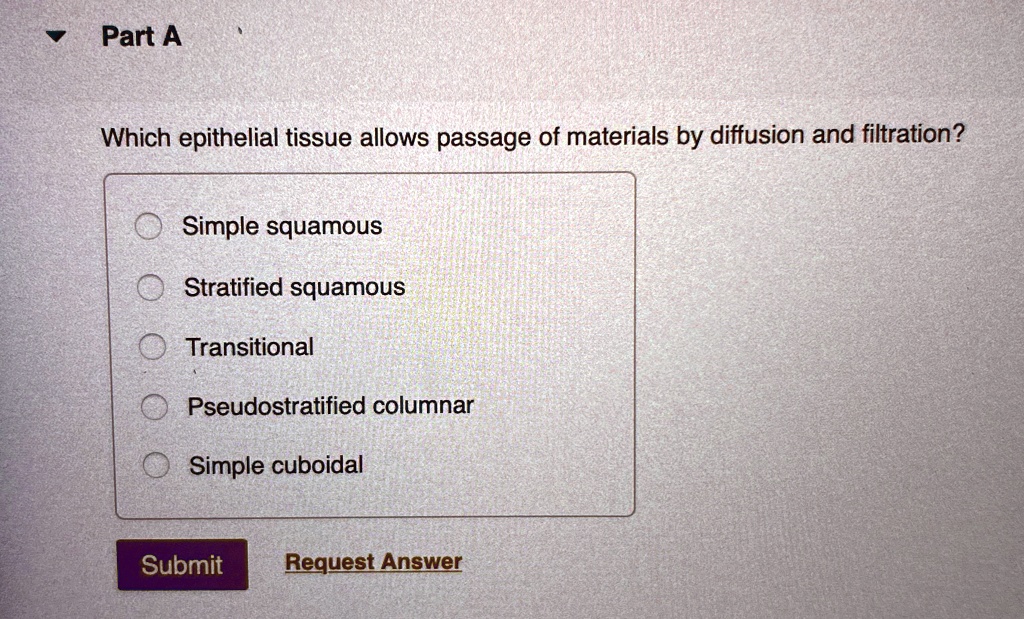 part a which epithelial tissue allows passage of materials by diffusion ...