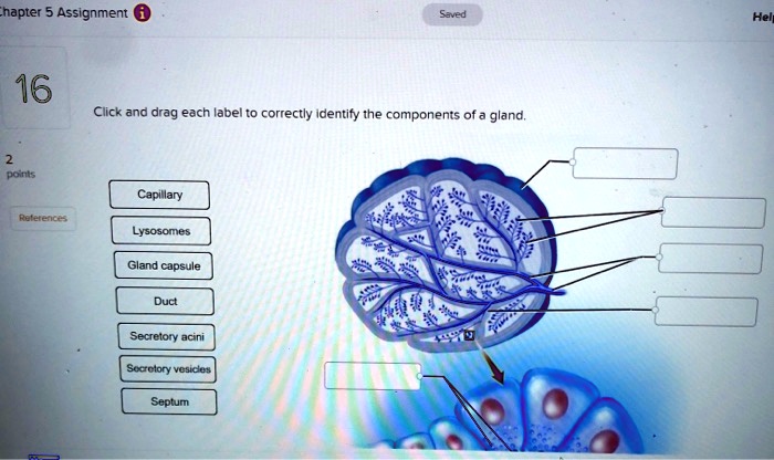 SOLVED: napter 5 Assignment 16 Click and drag each Iabel to correctly ... SOLVED: napter 5 Assignment 16 Click and drag each Iabel to correctly ...