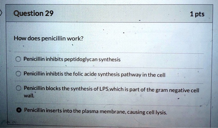 question 29 1pts how does penicillin work penicillin inhibits ...