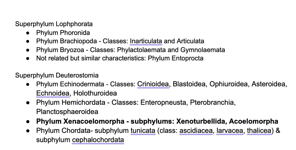 SOLVED:Superphylum Lophphorata Phylum Phoronida Phylum Brachiopoda ...