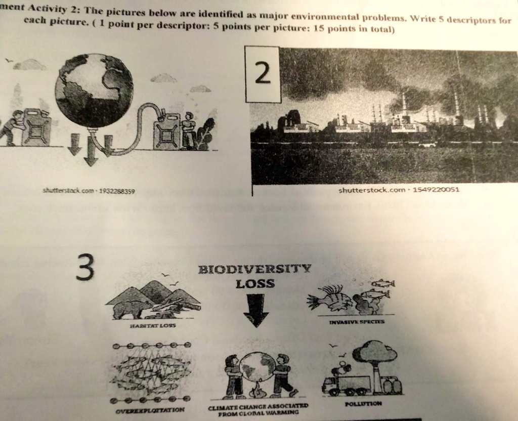 ment Activity 2: The pictures below are identified as major ...