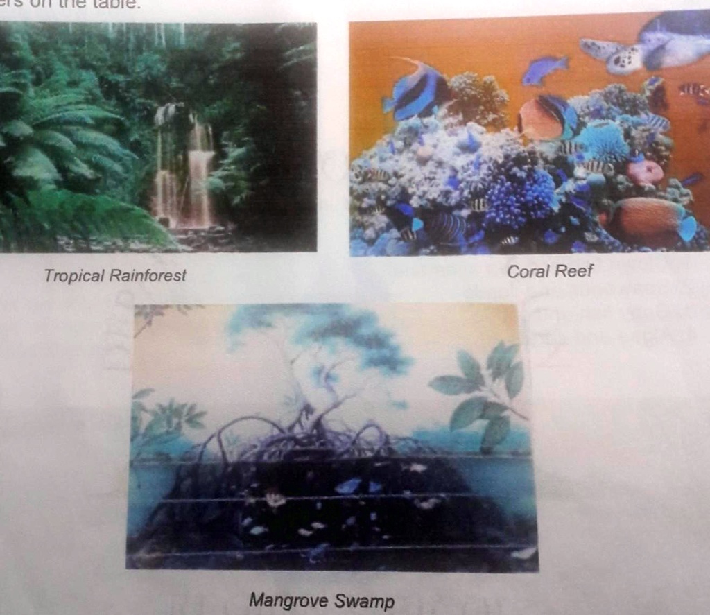 Tropical Rainforest Coral Reef Mangrove Swamp