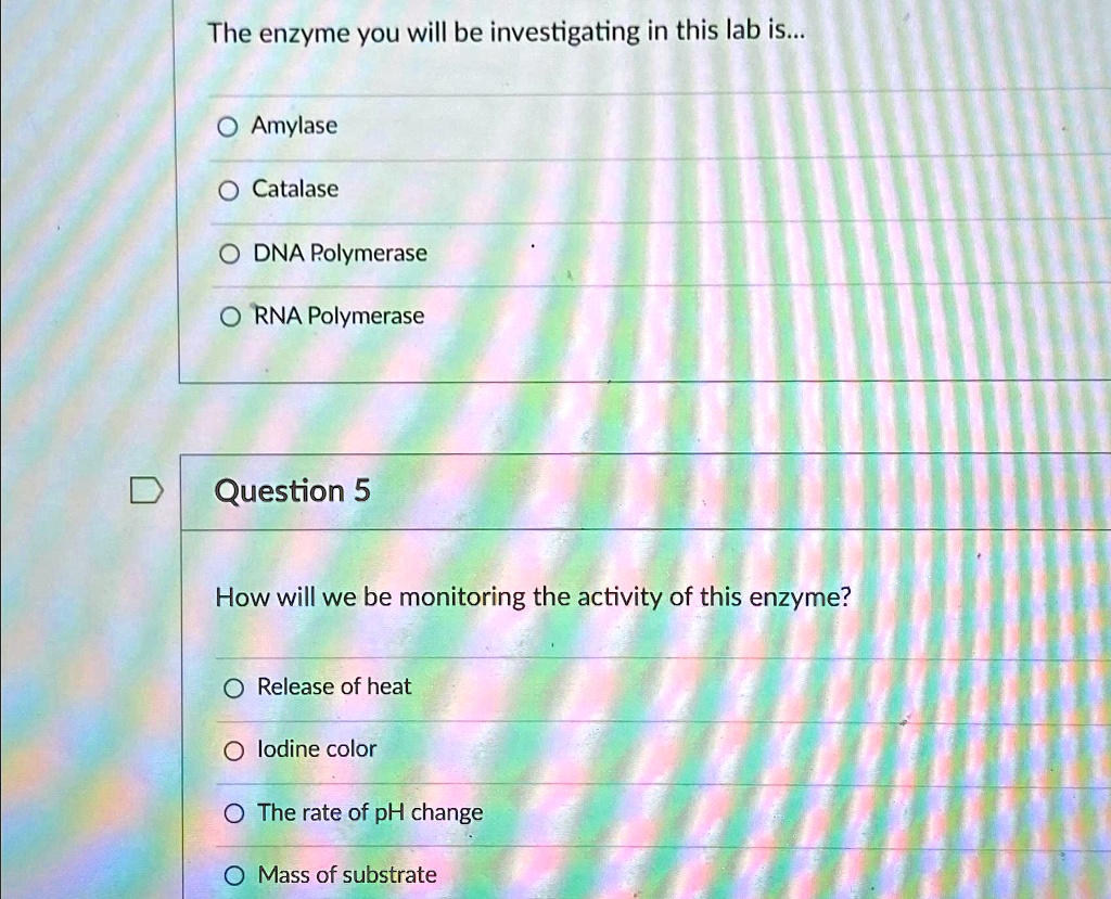 SOLVED: The enzyme you will be investigating in this lab is... Amylase ...