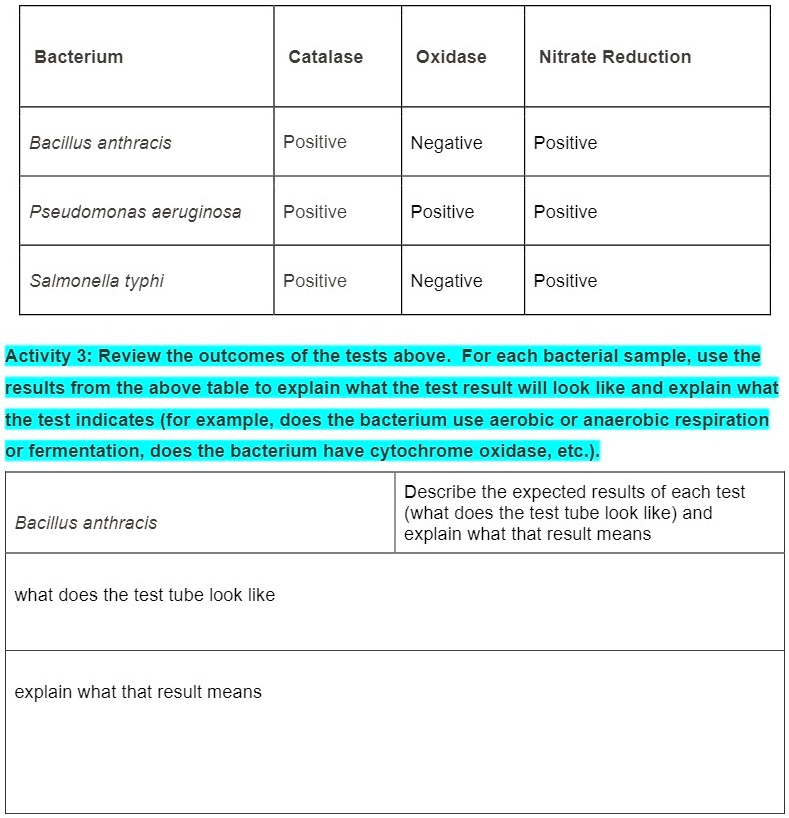 SOLVED: 'Bacterium Catalase Oxidase Nitrate Reduction Bacillus anthracis Positive Negative ...