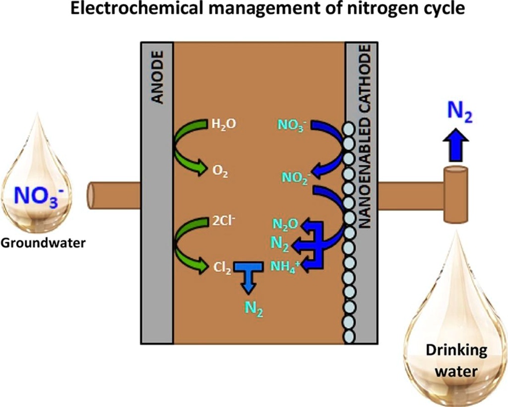 NO3^- Groundwater Electrochemical management of nitrogen cycle ANODE ...