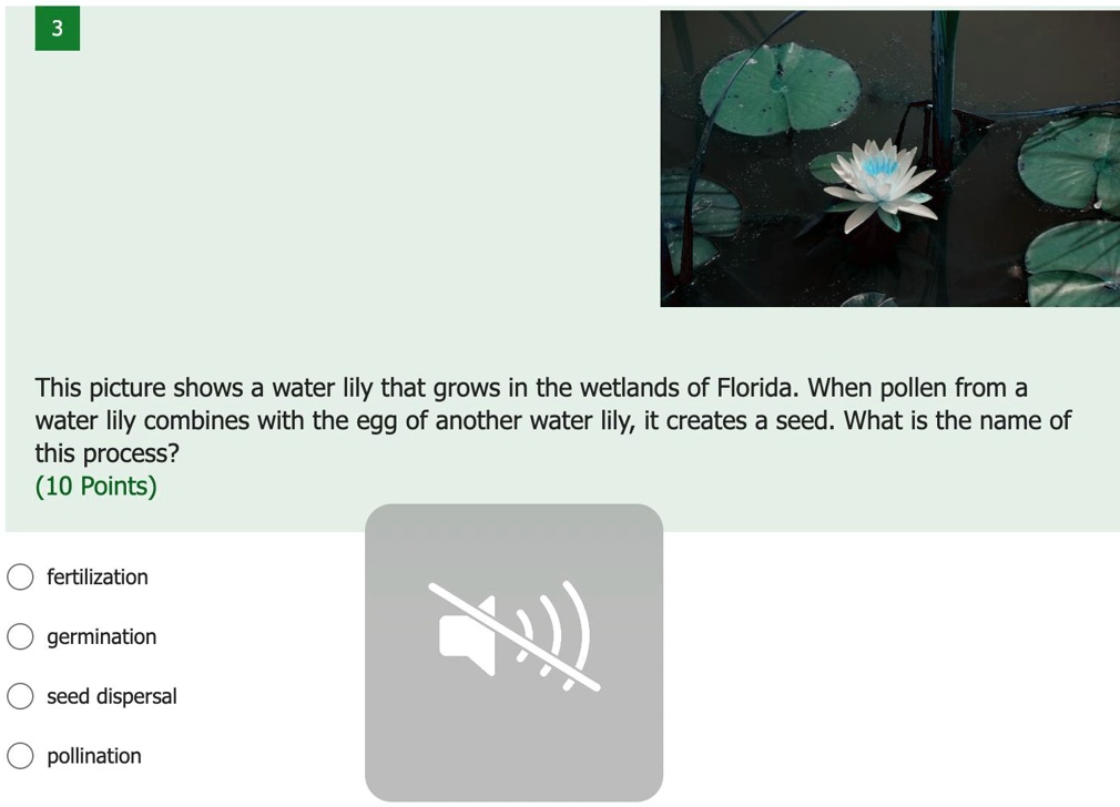 SOLVED: 'Can somebody help me? This picture shows a water lily that ...