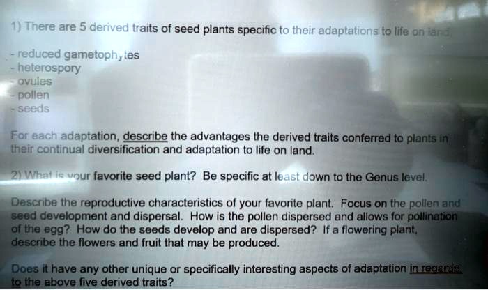 SOLVED: 1) There are 5 derived traits of seed plants specific to their adaptations to llife on ...
