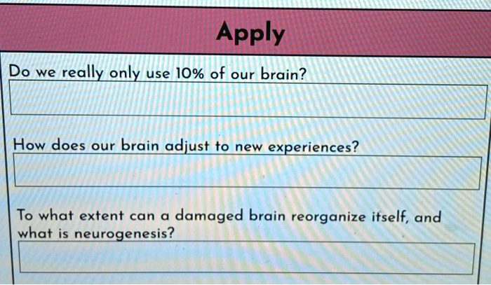 Apply Do we really only use 10% of our brain? How does our brain adjust to new experiences? To ...