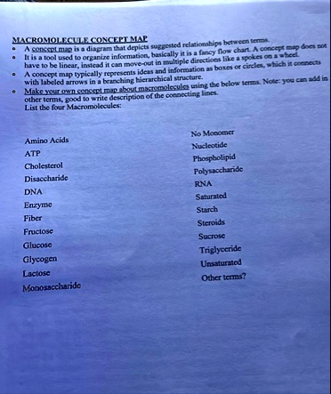 macromolecuie concept map a concerpt map is a diagram that depicts ...