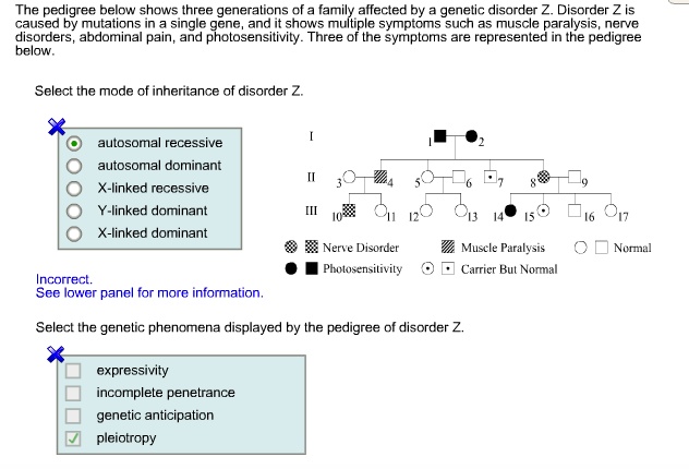 SOLVED: The pedigree below shows three generations of a family affected ...