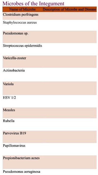 Microbes of the Integument Name of Microbe Description of Microbe and ...
